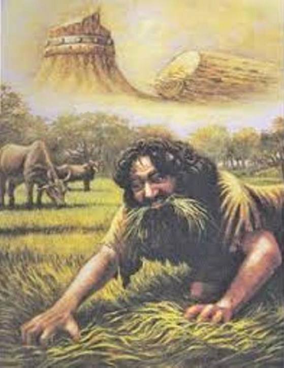 Daniel Chapter 4 Tree