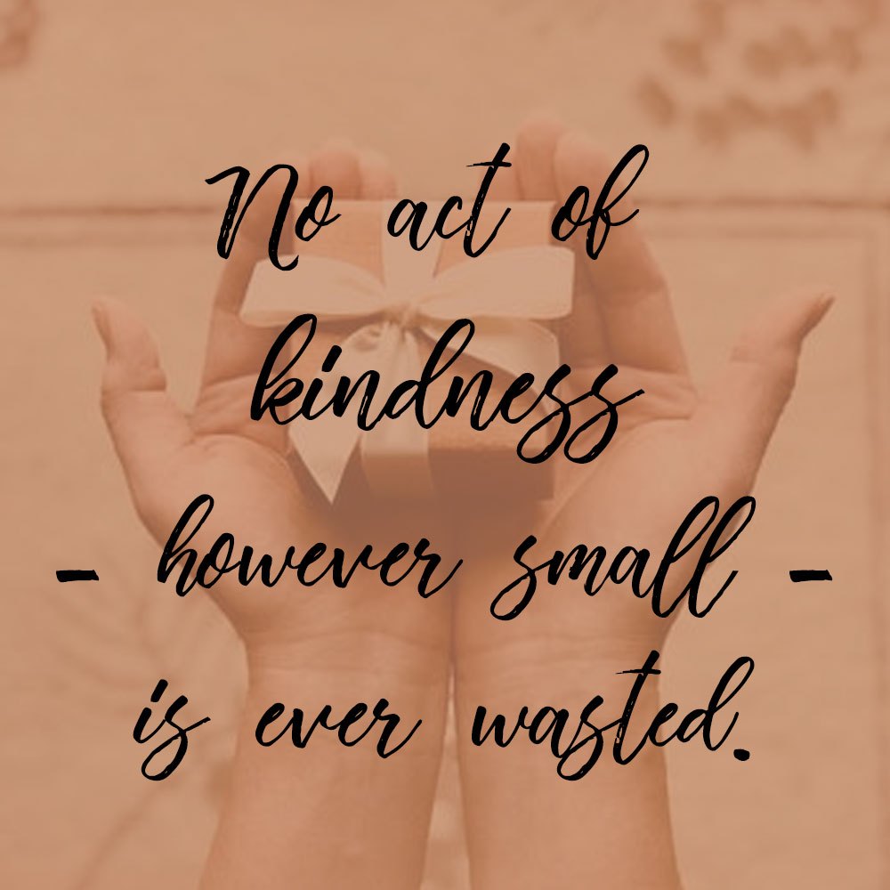 Proverbs 3 | Bible Teaching Notes