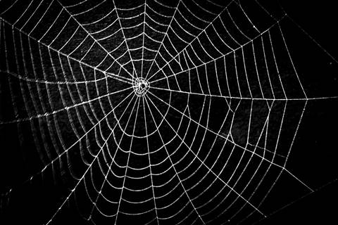 God and the Spider | Bible Teaching Notes